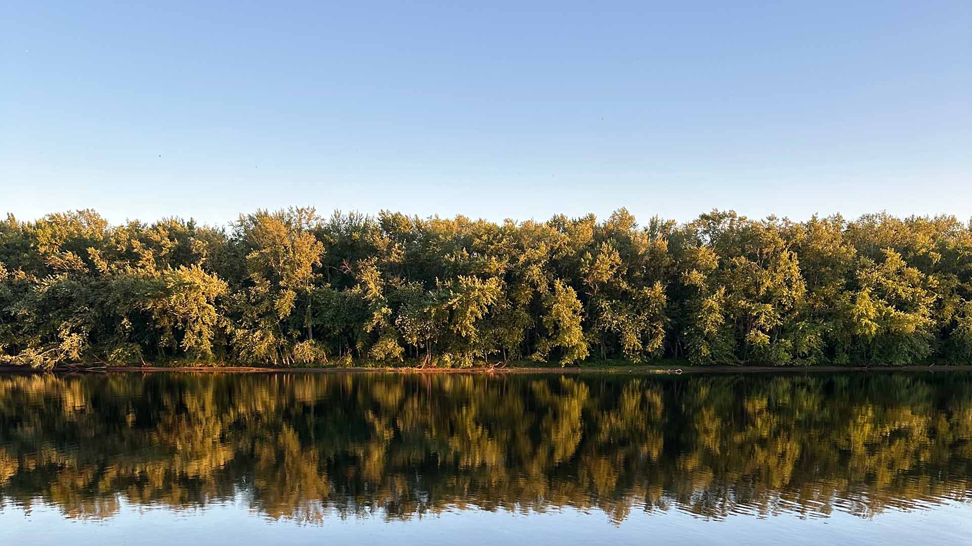 Part 2: Concord, Merrimack River Floodplain - The Joy of Birding: An ...