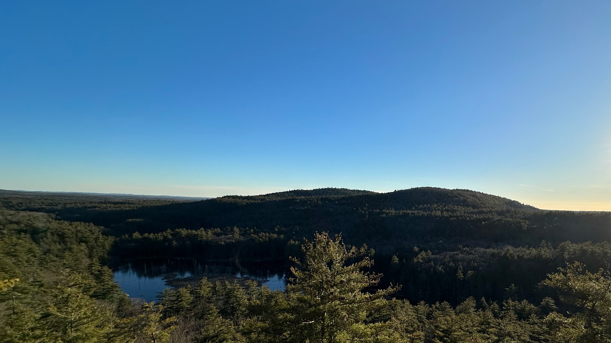 Birding at Pawtuckaway State Park, NH | Where to Bird