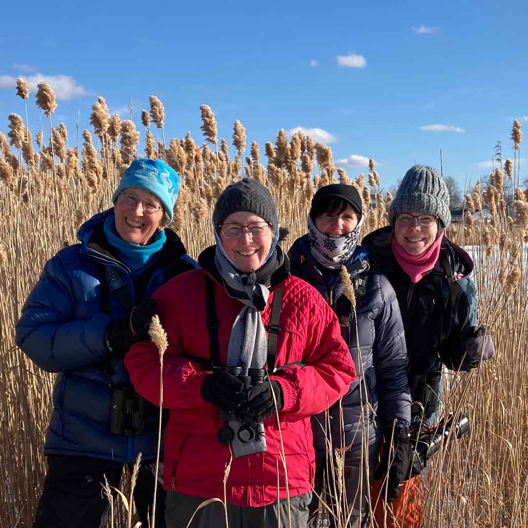 The Joy of Birding: An Online Journal of Birding in New Hampshire